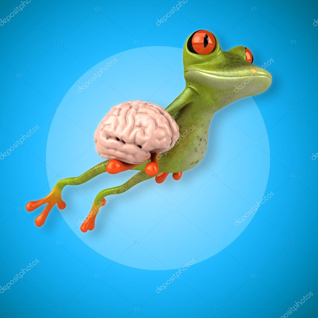 Frog Brain Vs Human Brain