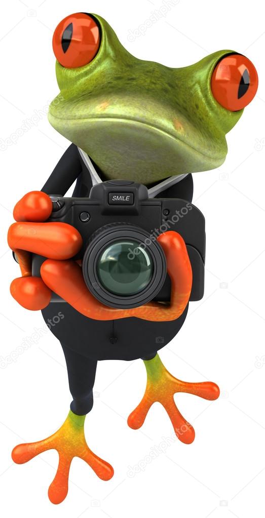 Fun frog with camera — Stock Photo © julos #78011716