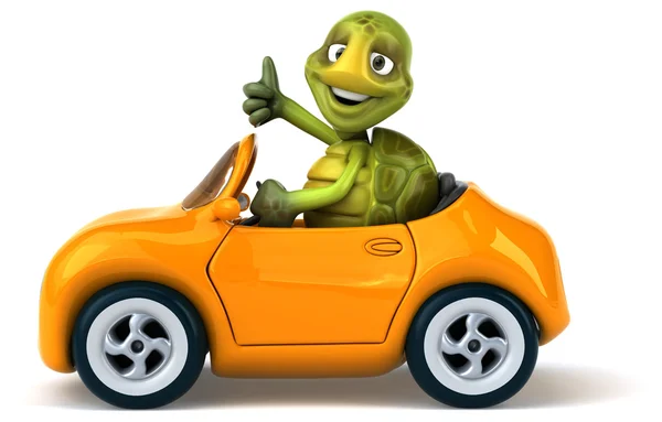 Turtle race Stock Photos, Royalty Free Turtle race Images | Depositphotos