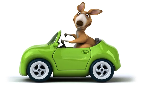 Funny kangaroo in car Stock Photo by ©julos 83559124