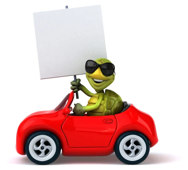 Raza de la tortuga Stock Photos, Royalty Free Raza de la tortuga Images ...