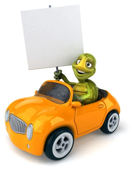 Funny turtle Stock Photos, Royalty Free Funny turtle Images | Depositphotos