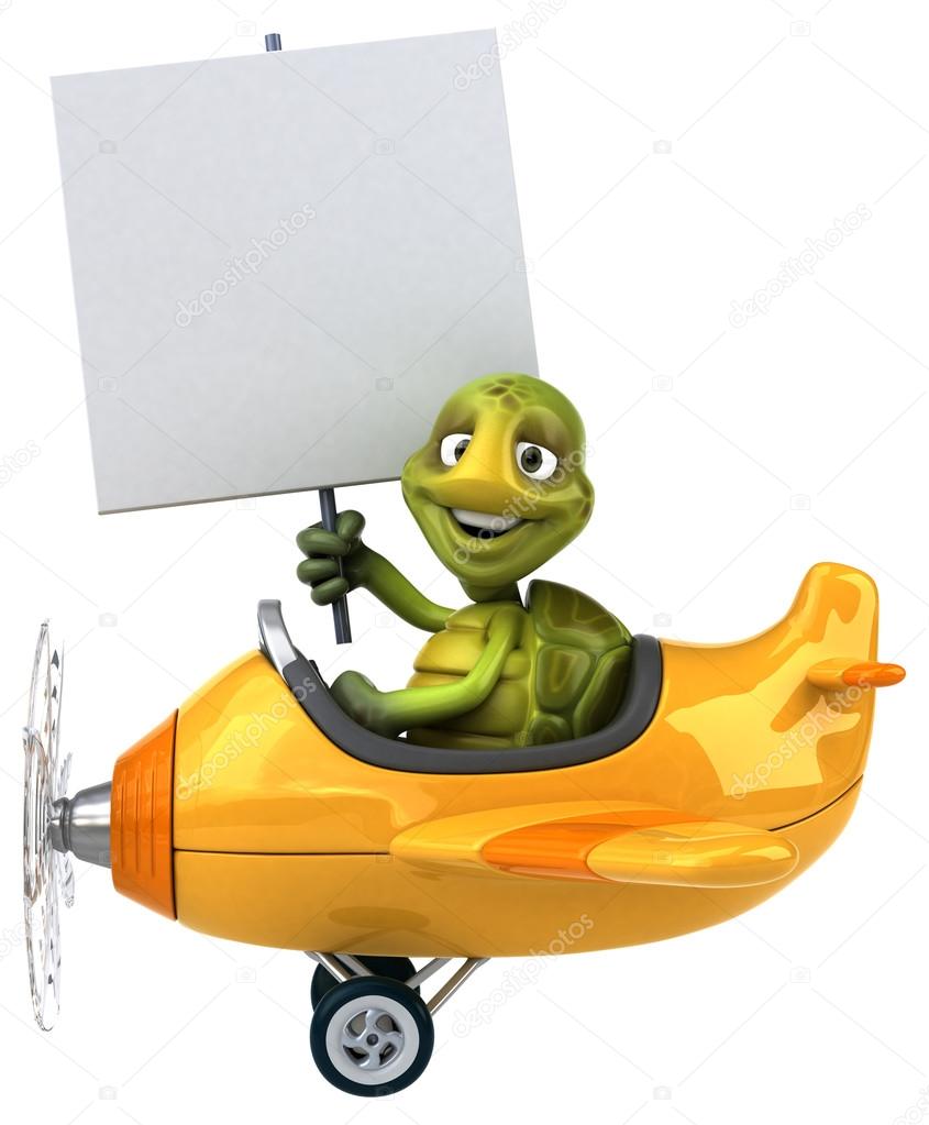 Funny turtle in aeroplane Stock Photo by ©julos 84486904