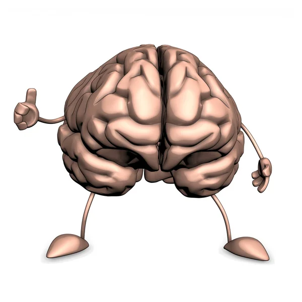 Brain health Stock Photos, Royalty Free Brain health Images | Depositphotos