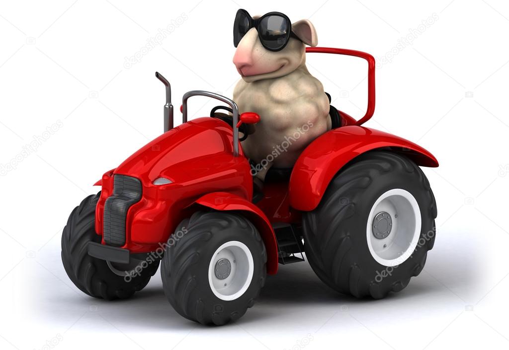 Fun sheep in tractor Stock Photo by ©julos 90164554