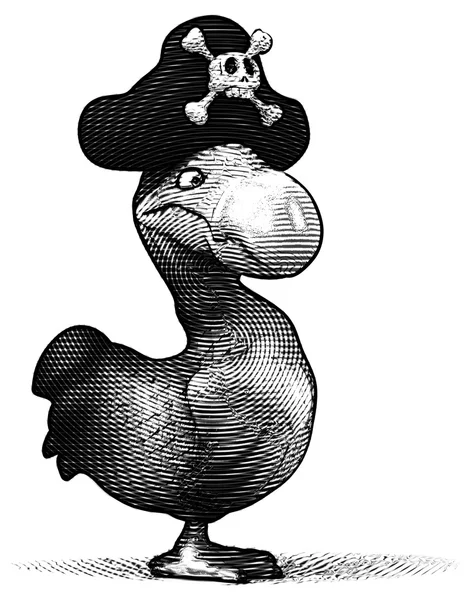 Avian pirate Stock Photos, Royalty Free Avian pirate Images | Depositphotos