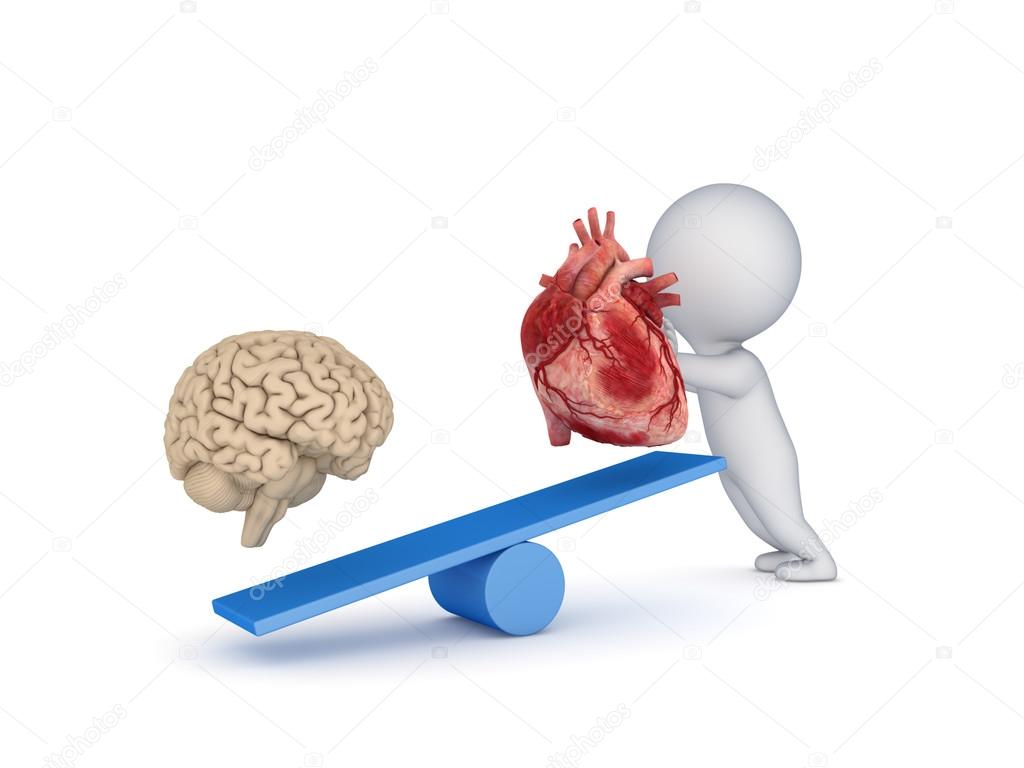 Human heart and brain. Stock Photo by ©rukanoga 103351752