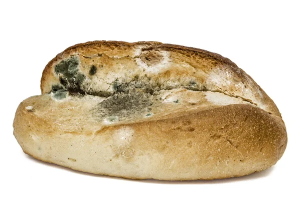 Pão mofado imagens de stock, fotos de Pão mofado | Baixar no Depositphotos
