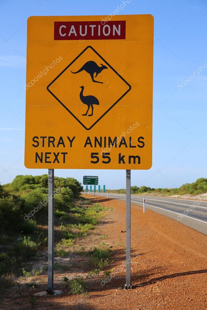 Stray Animals Stock Photo by ©Benri185 78311480