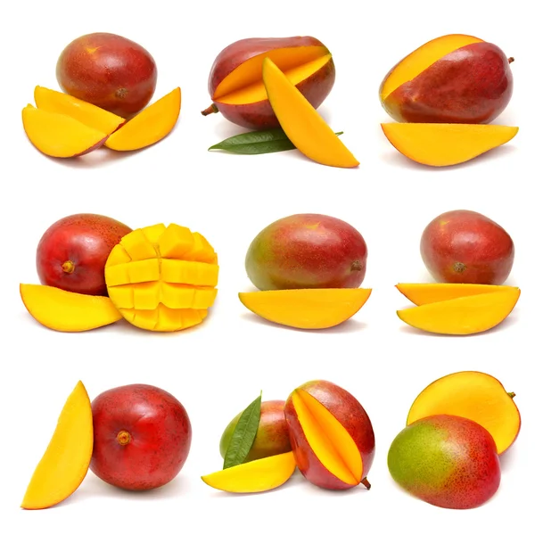 Collection of mango fruits Stock Photo by ©Ian_2010 65110533