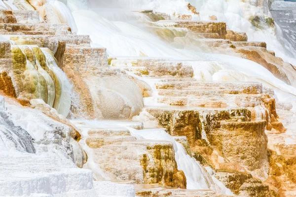 ᐈ Calcium deposits stock photos, Royalty Free calcium deposits images ...