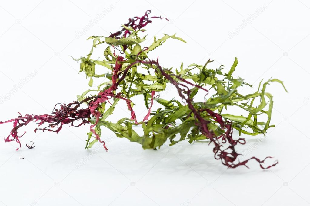 Seaweed salad mix Stock Photo by ©wollertz 54267307