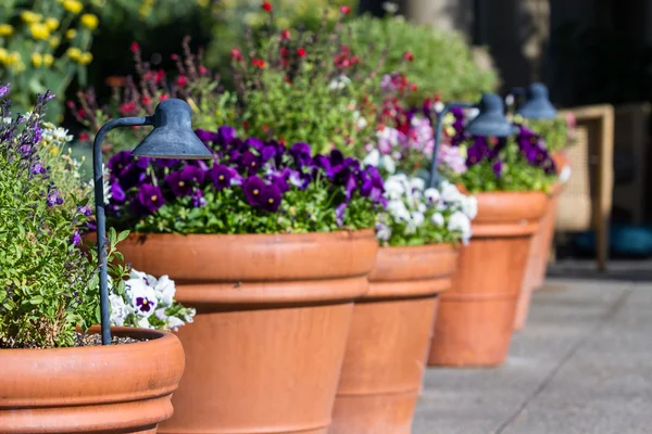 Flower pots Stock Photos, Royalty Free Flower pots Images | Depositphotos