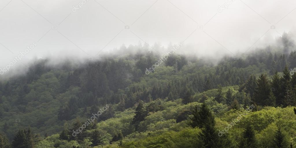 Coastal mist — Stock Photo © wollertz #80637270