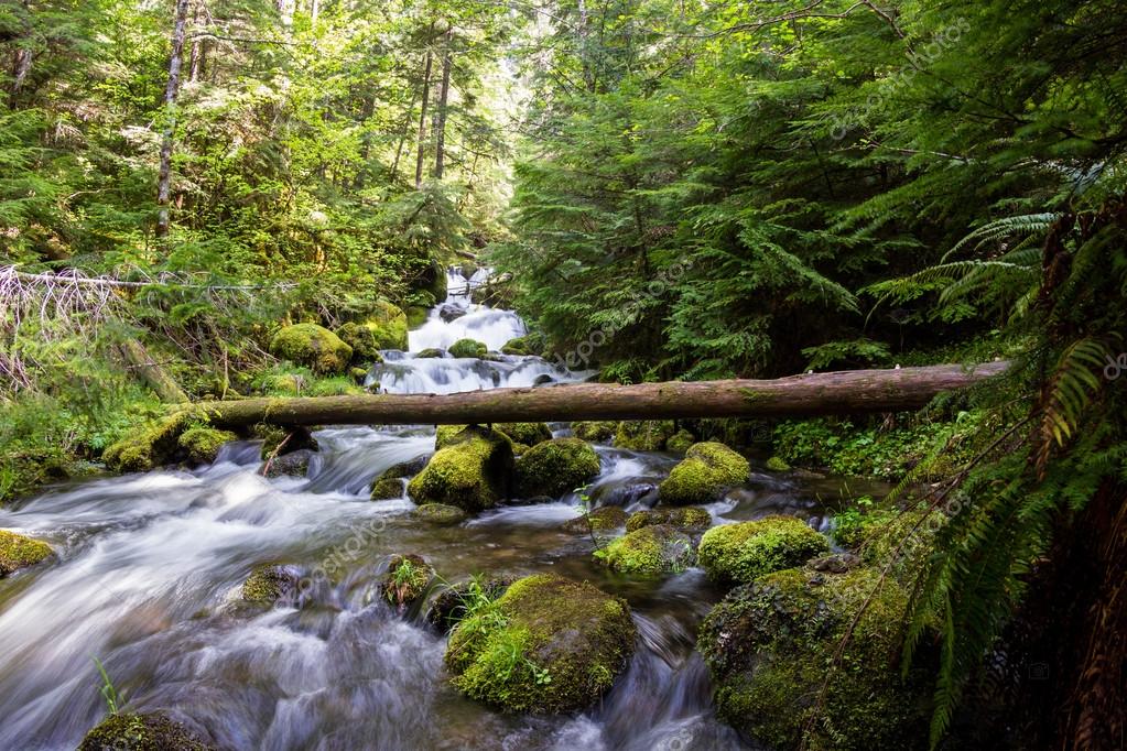 Natural spring water Stock Photo by ©wollertz 81744206