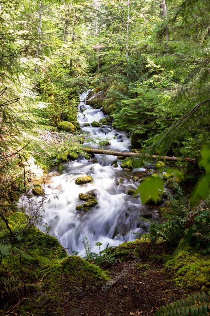 Natural spring water — Stock Photo © wollertz #81755146