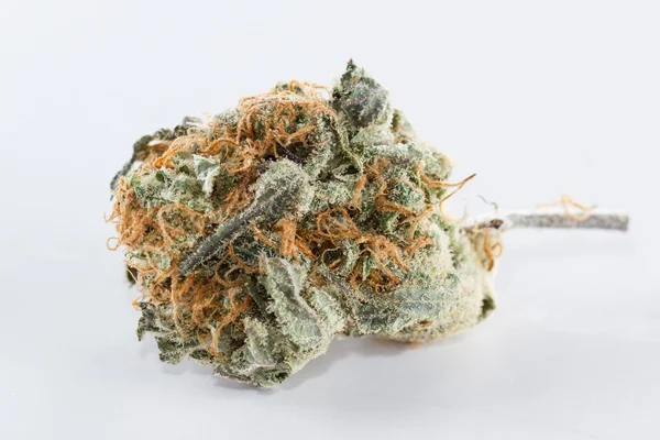 Indica strain Stock Photos, Royalty Free Indica strain Images ...