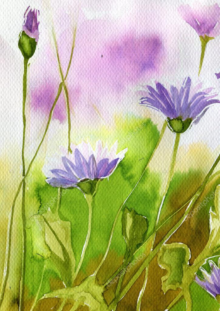 Watercolor illustration depicting spring flowers in the meadow Stock ...