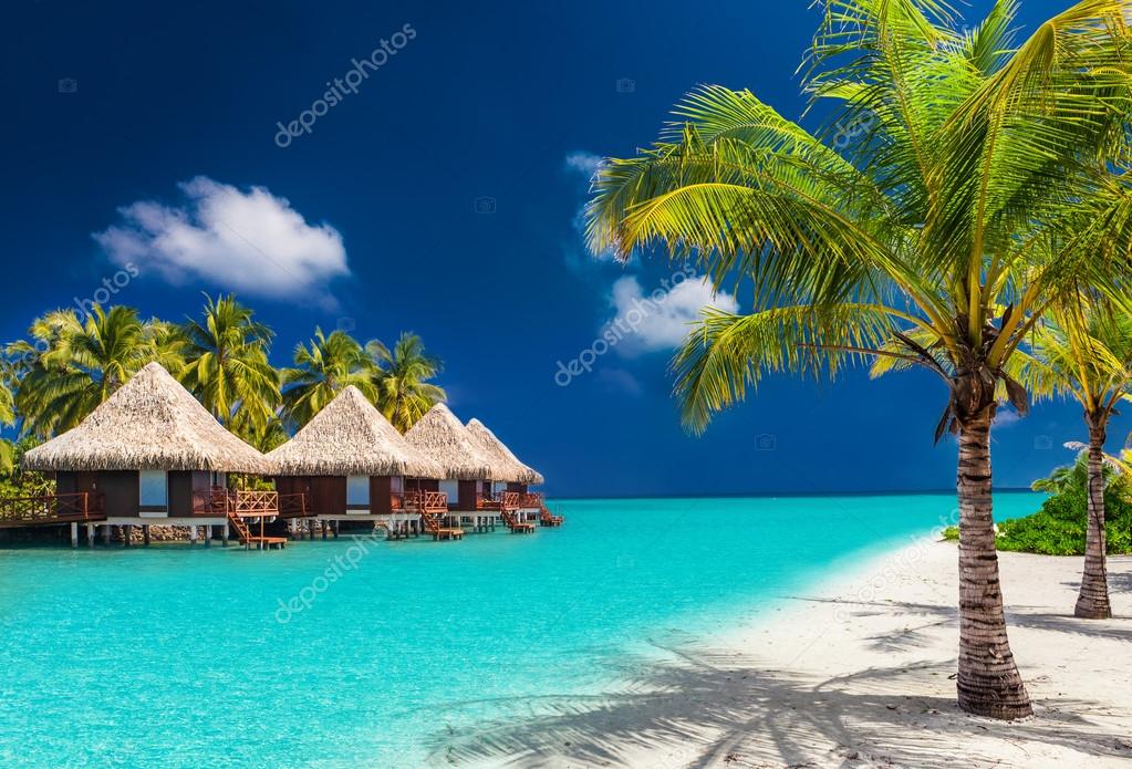 Natural laid-back tropical beach — Stock Photo © mvaligursky #102012396