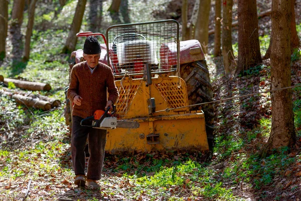 Old man cutting trees using a chainsaw in the forest Stock Photo by ...