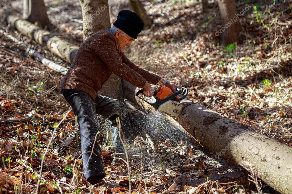Old man cutting trees using a chainsaw in the forest Stock Photo by ...