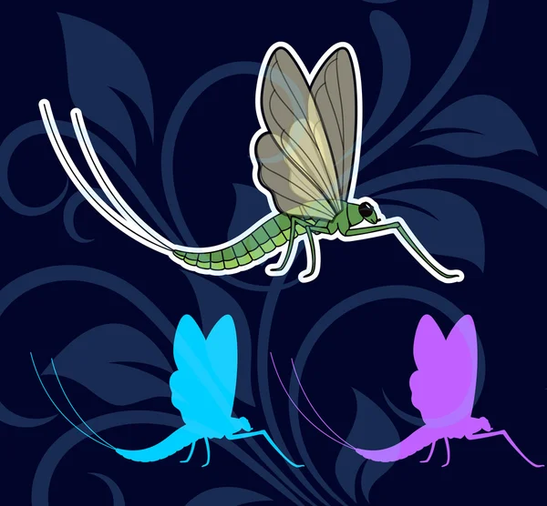 ᐈ Mayfly stock vectors, Royalty Free mayfly illustrations | download on ...