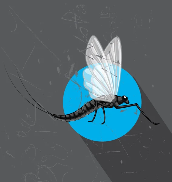 ᐈ Mayfly stock vectors, Royalty Free mayfly illustrations | download on ...