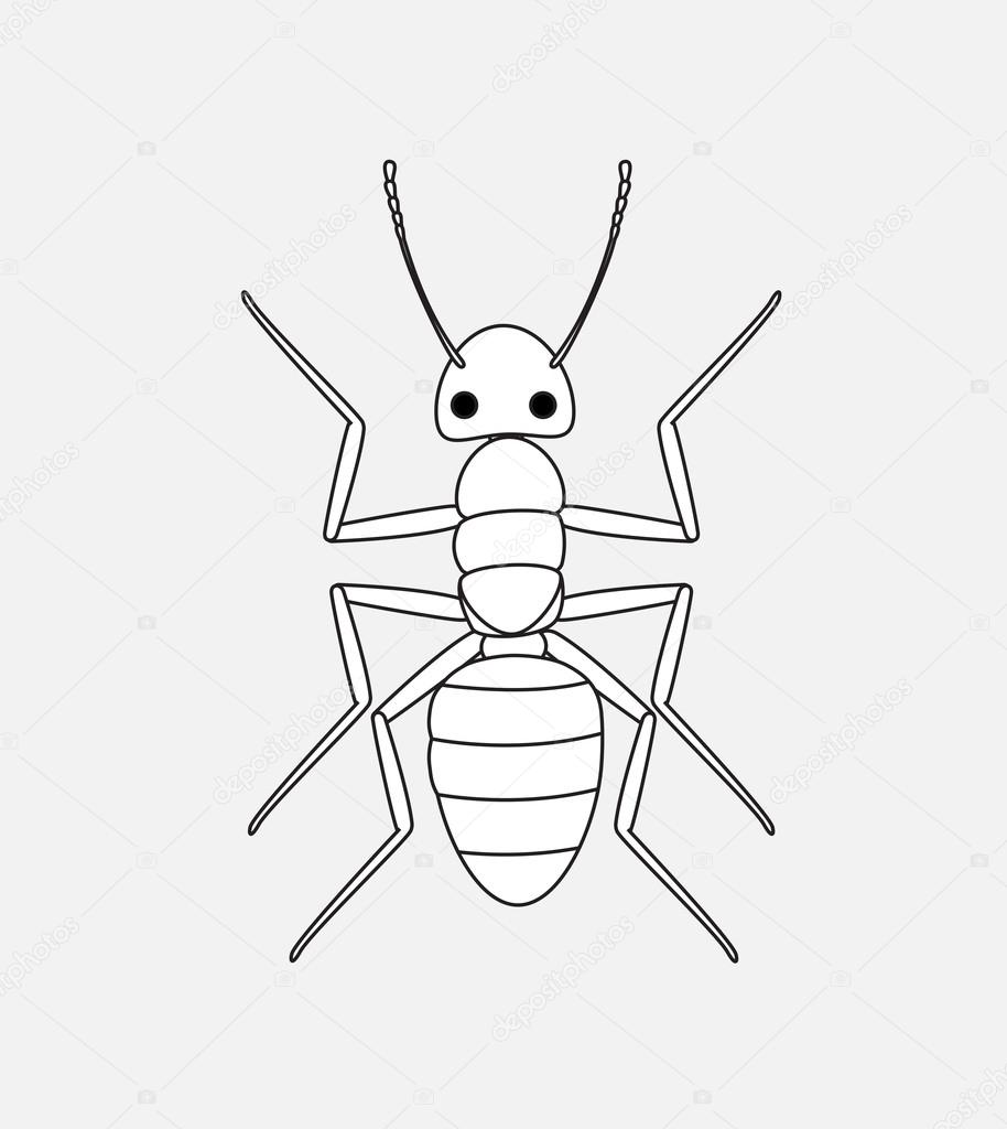 Vector de dibujo de hormigas 2024