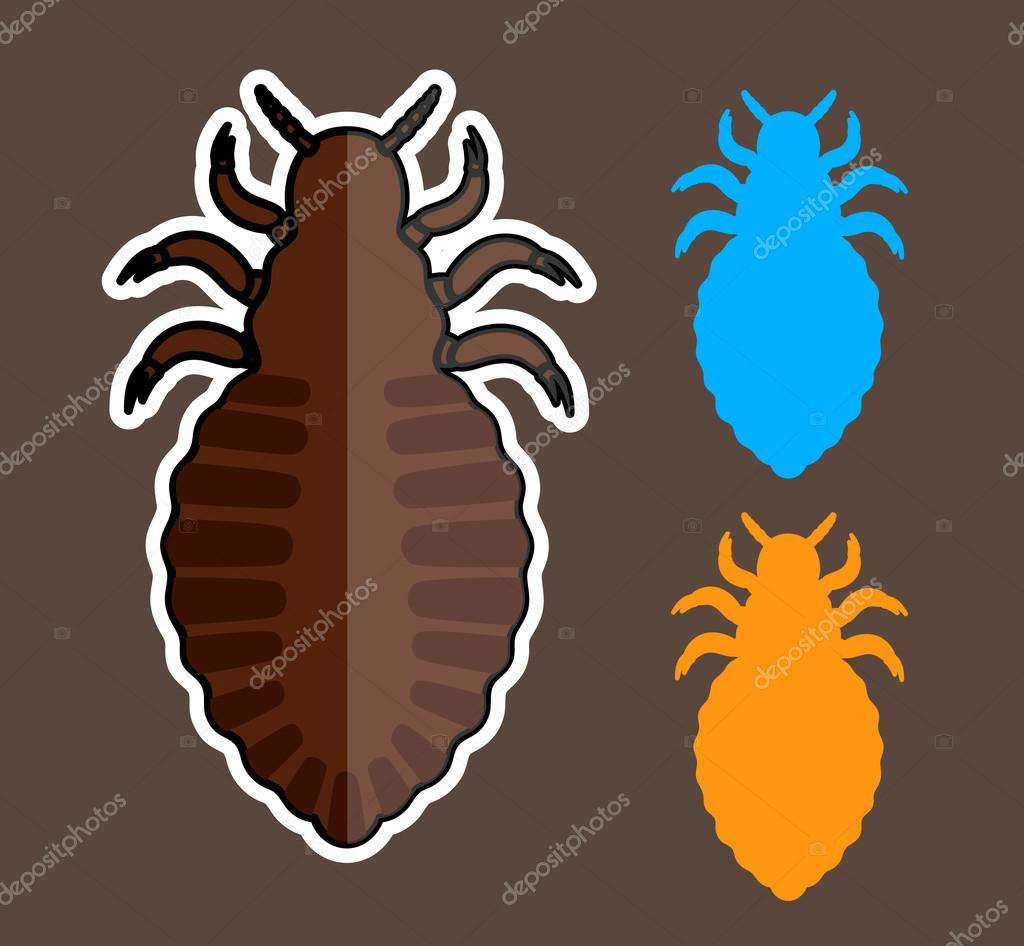 Lice Insects Vector Stock Vector by ©baavli 123563910