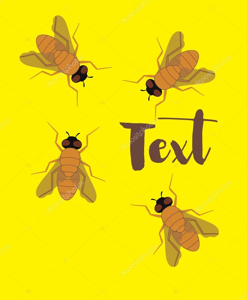 Flies Background Vector Stock Vector by ©baavli 123574524