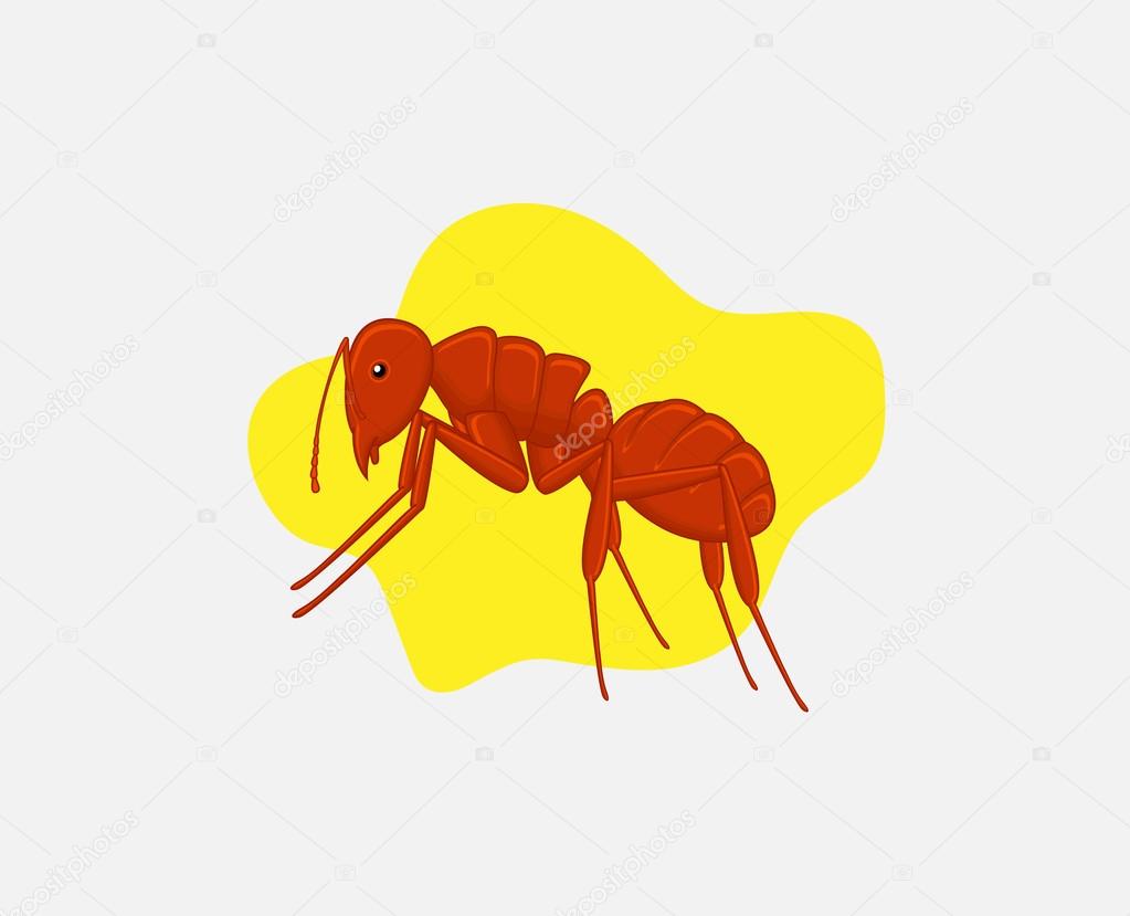 Fire Ant Vector Stock Illustration by ©baavli #123600590