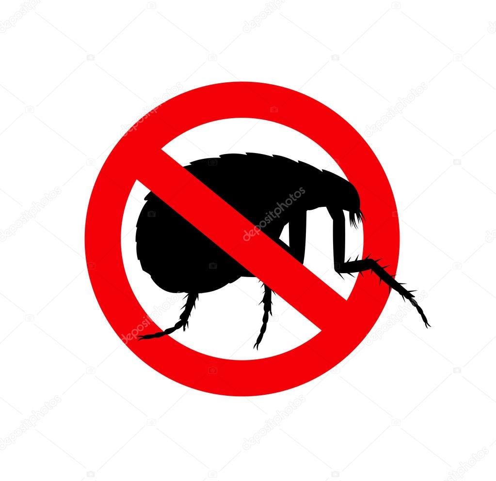 Tick Insects Forbidden Symbol — Stock Vector © baavli #123648226