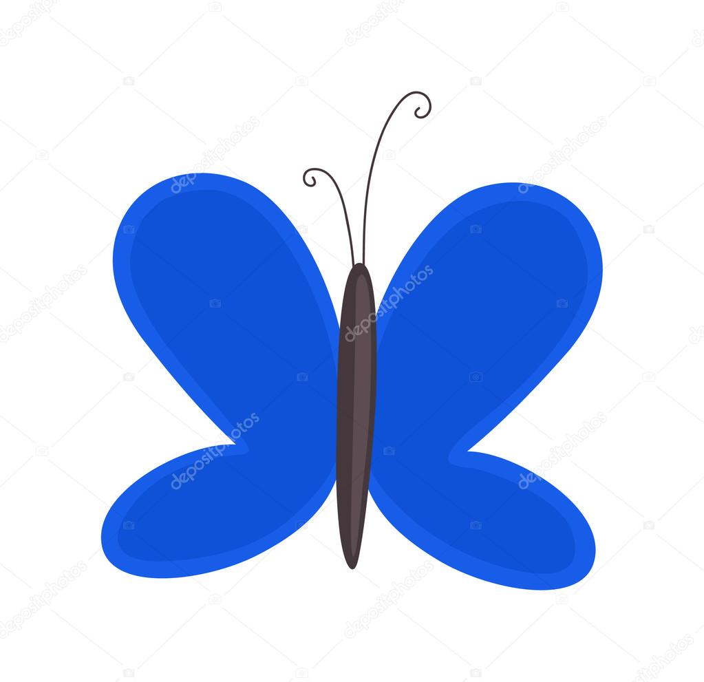 Animated Blue Butterflies