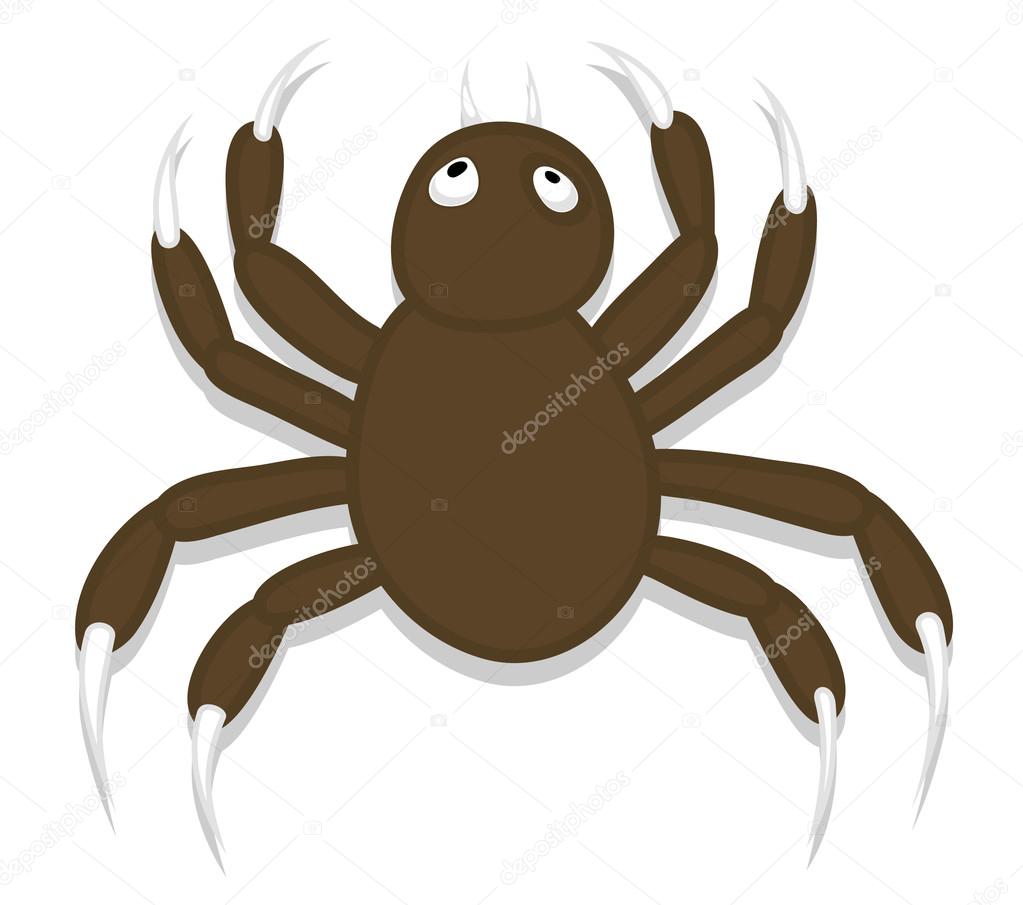 Scary Spider Stock Vector Image by ©baavli #57744653