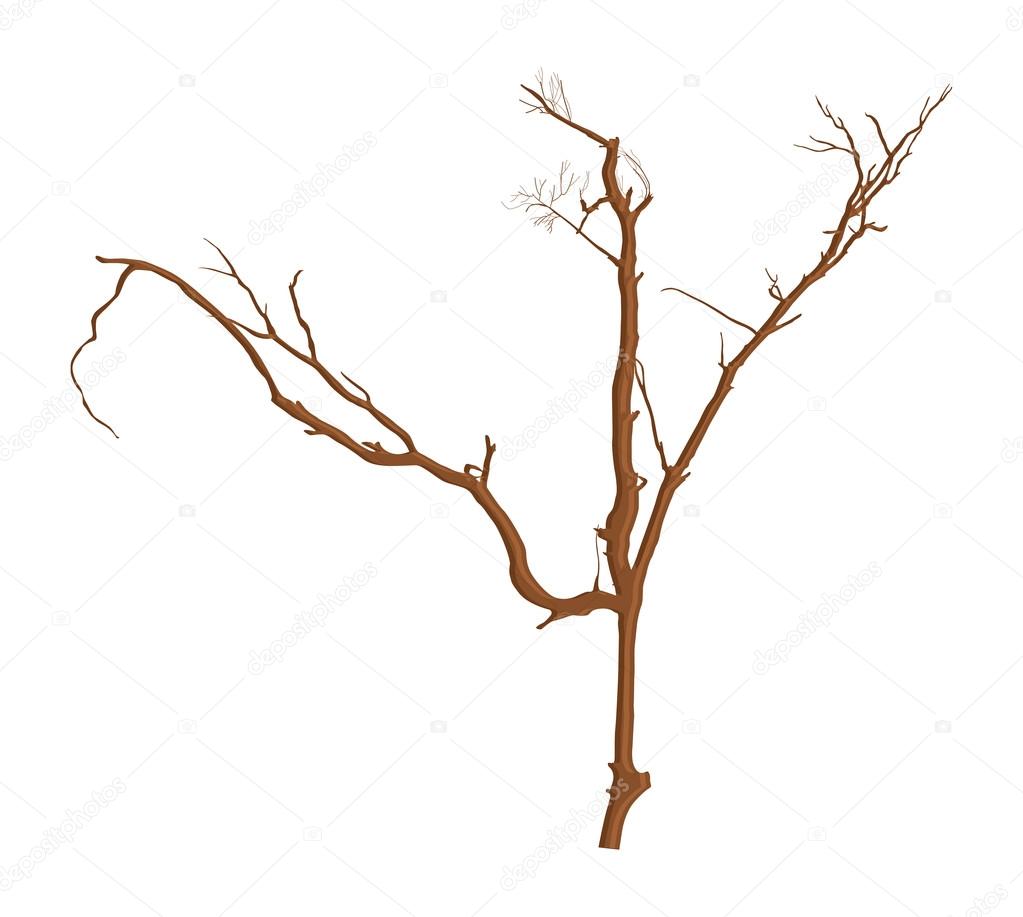 Árbol muerto embrujado Vector de stock #57750995 de ©baavli