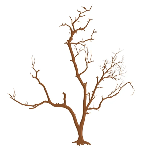 Scary Tree Branches Stock Vector by ©baavli 57841593
