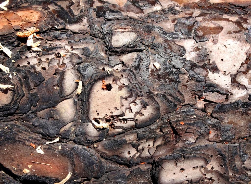 Burnt Surface Texture Stock Photo by ©baavli 60079809