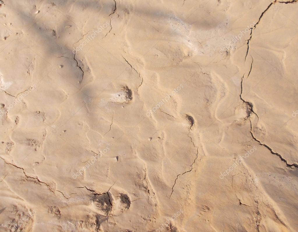 Wet Soil Land Surface Texture Stock Photo by ©baavli 60158877