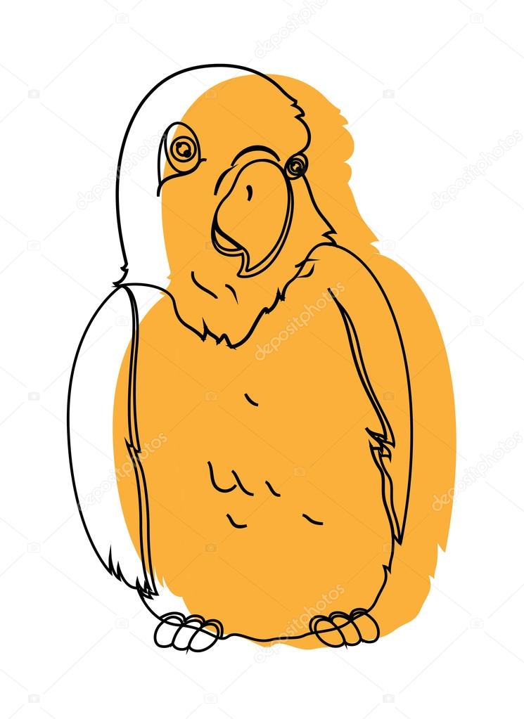 Cute Parrot Drawing Cute Parrot Drawing — Stock Vector © Baavli 62171199