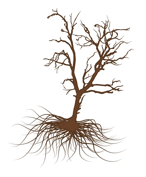 100,000 Root system Vector Images | Depositphotos