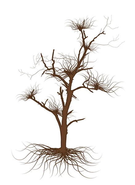 Dead Tree Vector Shape Stock Vector Image by ©baavli #64423005