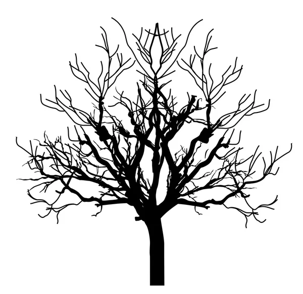 6,487 Dead tree Vector Images | Depositphotos