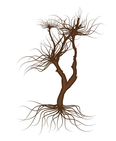 Roots Stock Photos, Royalty Free Roots Images | Depositphotos