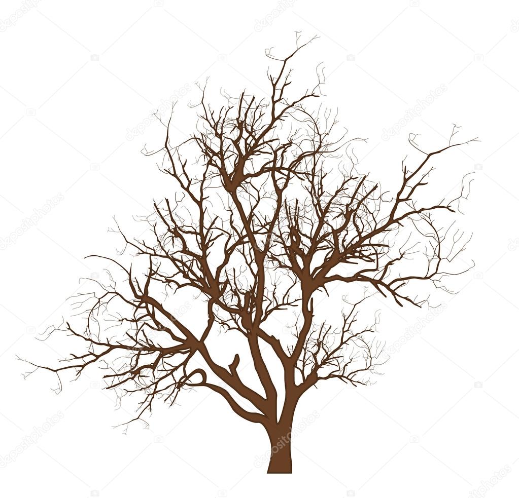 Dry Tree Vector — Stock Vector © baavli #64421561