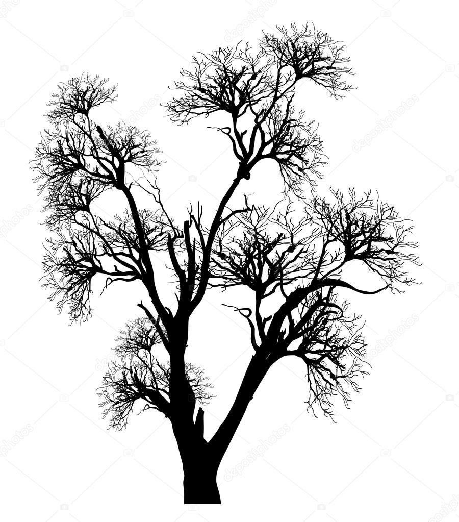 Dead Tree Vector Shape Design Stock Vector by ©baavli 64421663