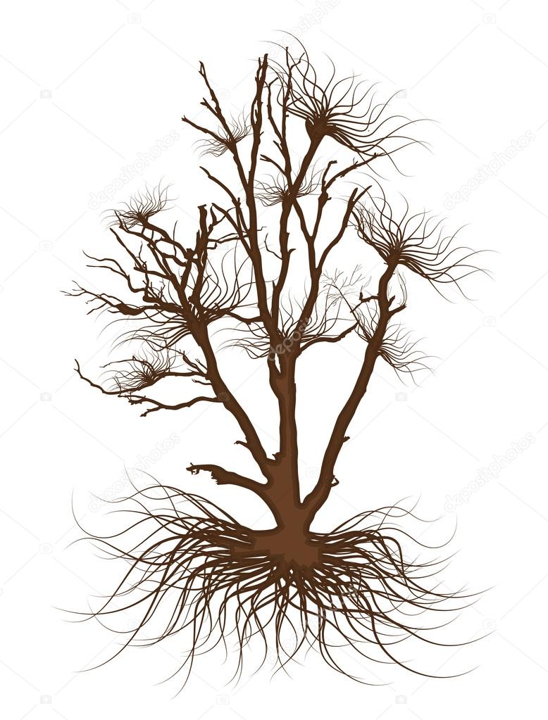 Dead Tree Drawing Vector Stock Vector by ©baavli 64422033