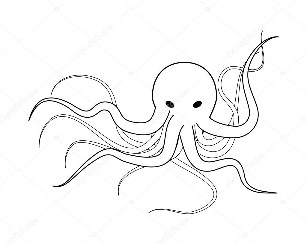 Drawings: simple octopus | Simple octopus illustration — Stock Photo ...