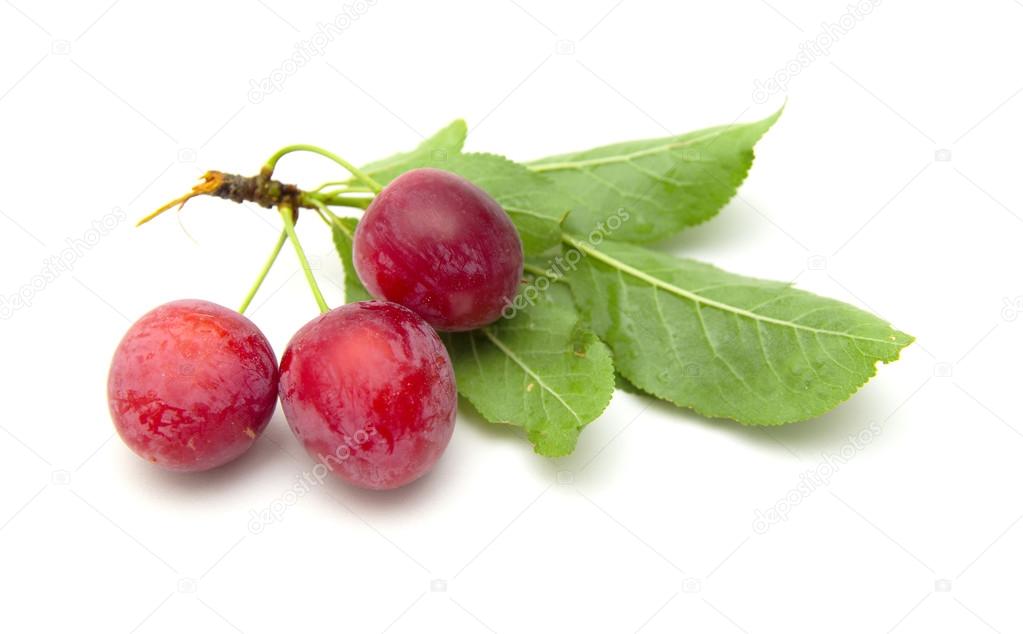 Kleine ronde rode wild pruimen — Stockfoto © Tamara_k #79652548