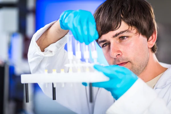 Male researcher carrying out scientific research - Stock Image - Everypixel