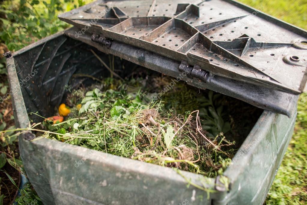 Plastic composter in a garden Stock Photo by ©lightpoet 97789252